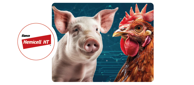 Qualidade que o mundo reconhece: soluções Elanco para o futuro da ...