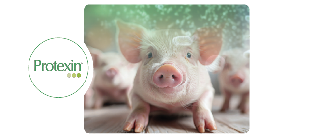 Qualidade que o mundo reconhece: soluções Elanco para o futuro da ...