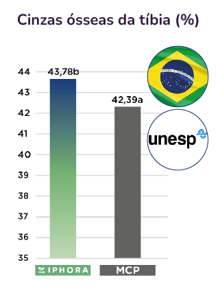 Uma inovação revolucionária no mundo dos fosfatos - HumIPHORA