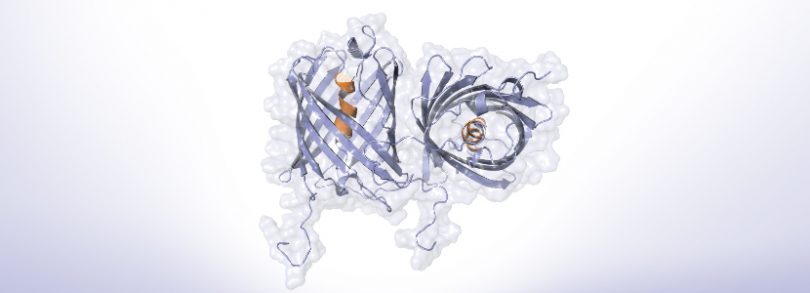 Selenium: Importance in Animal Health