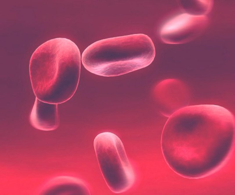 Spray-dried plasma enhances broiler gut health and immunity