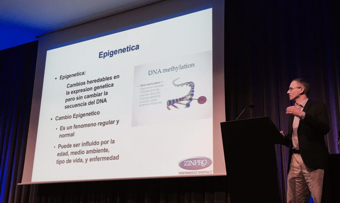 En el VIII Seminario Feet First se trataron aspectos cruciales de la ...