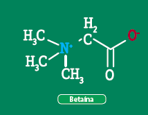 Efecto de la suplementación de betaína para la prevención del estrés ...