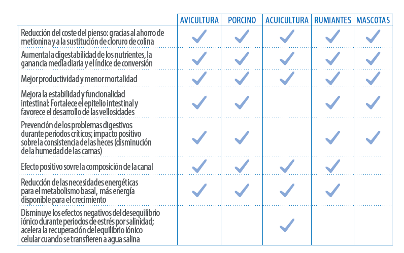 Hepatron®Betain 33% liquid - nutriNews, la revista de nutrición animal