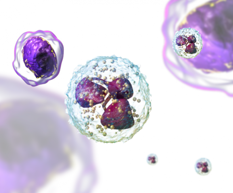 Butírico & Salud Intestinal . Descubriendo los mecanismos de acción ...