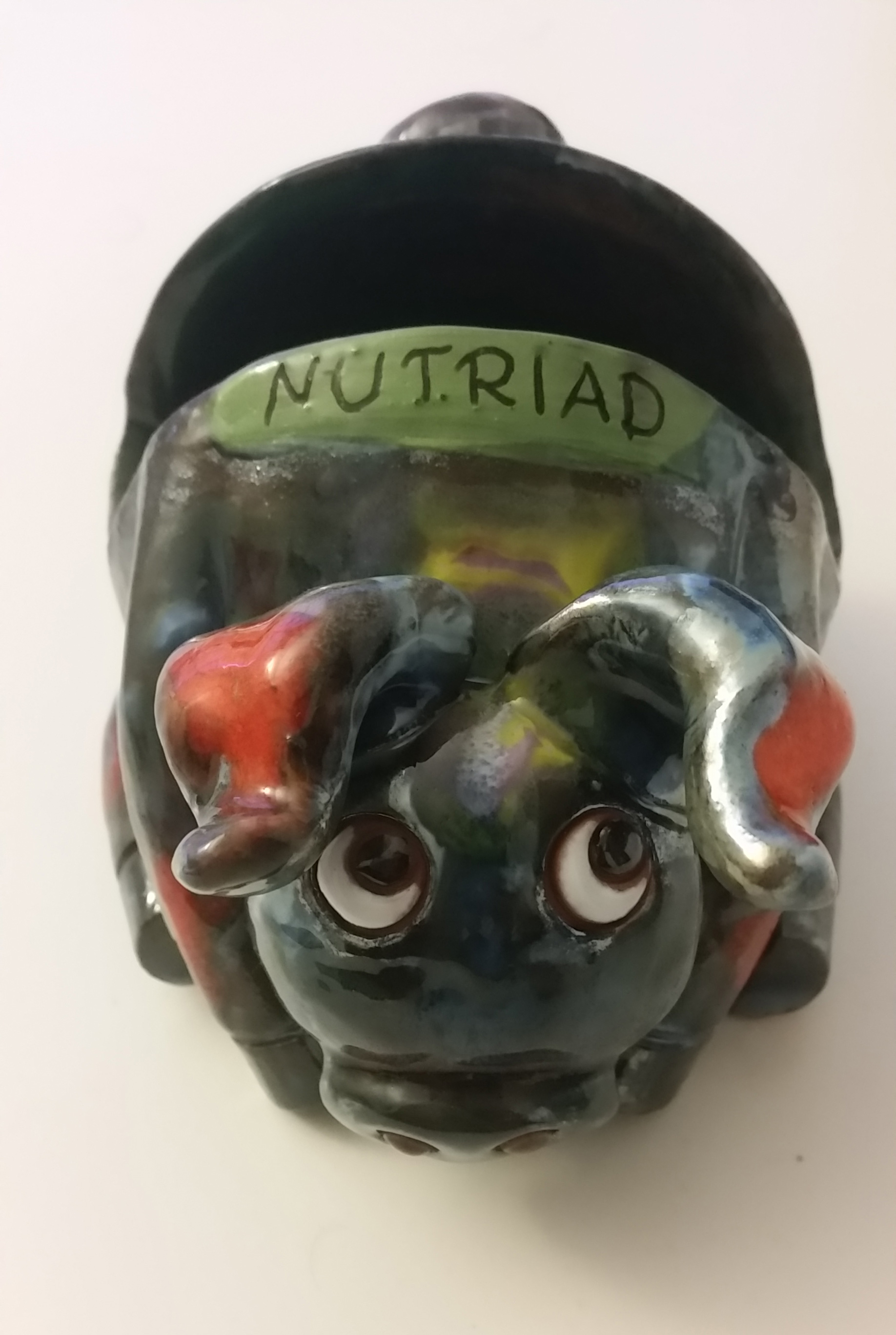 Nutriad vuelve a apostar por nutriForum - nutriNews, la revista de ...