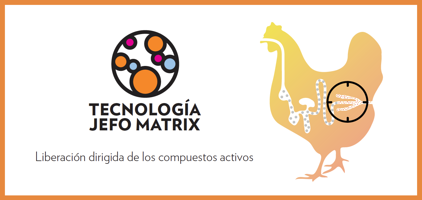 Jefo muestra sus novedades en FIGAN 2017 - nutriNews, la revista de ...