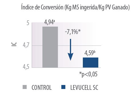 Levucell SC mejora los resultados de crecimiento en bovinos de carne