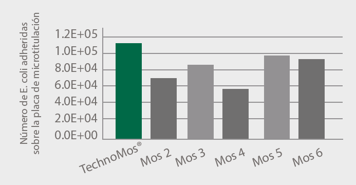 Technomos de Biochem