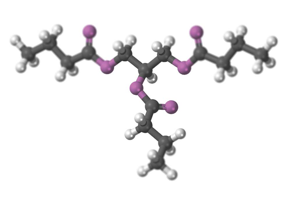 El papel de las tributirinas en el destete de lechones