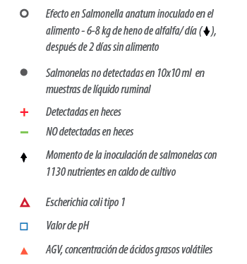 Mejora del desarrollo ruminal. Más allá del estímulo de la flora ruminal