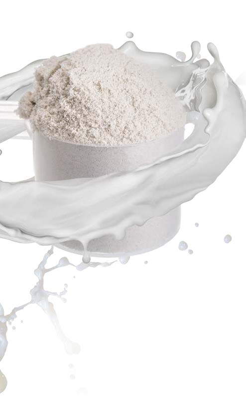 Permeado de Suero: Definición y clasificación