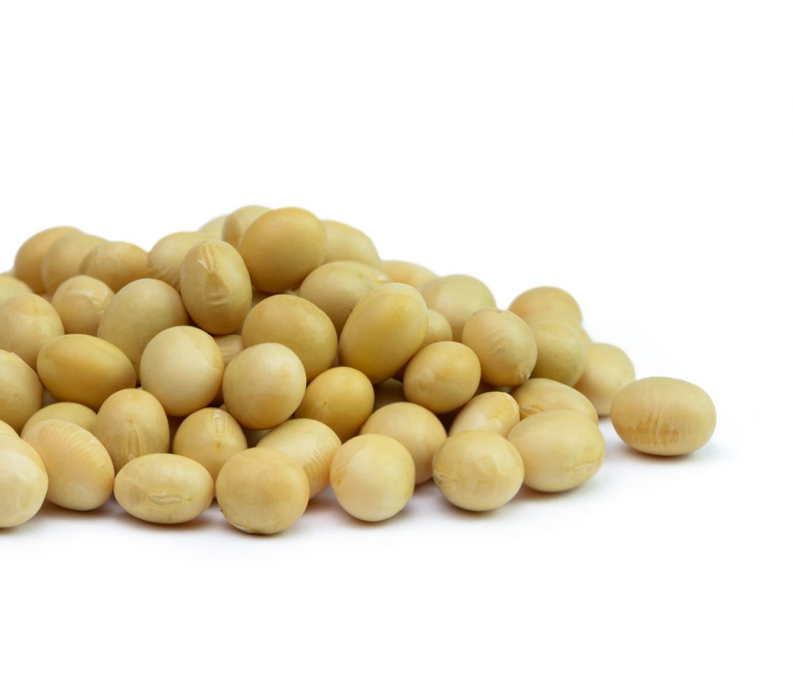 Utilización de productos de soja en alimentación animal . Parte III ...