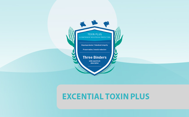 Productos - nutriNews, la revista de nutrición animal