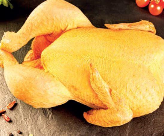 Salud intestinal y pigmentación del pollo de engorde