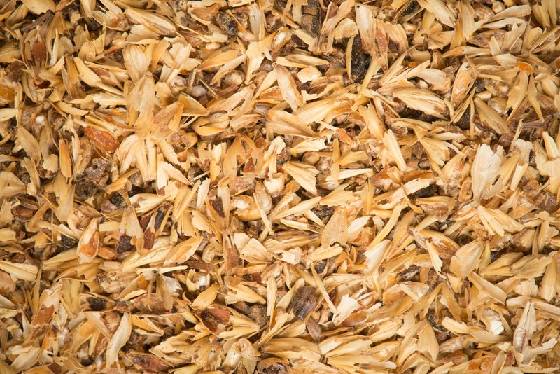 Neutral Detergent Fiber determinations in dairy cattle