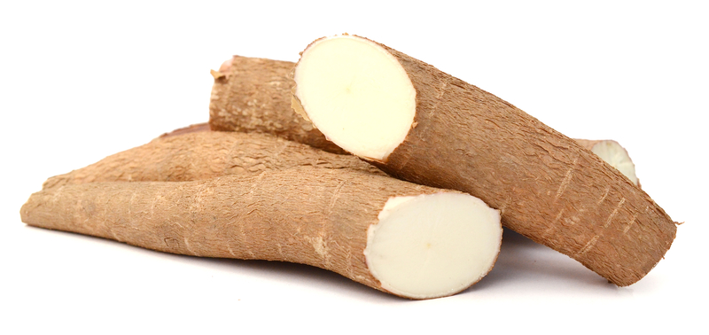 Yuca: beneficios de su uso para la alimentación animal