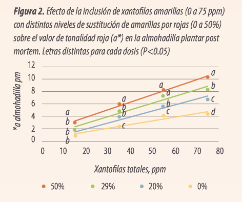 Combinación de xantofilas naturales para la pigmentación del pollo ...