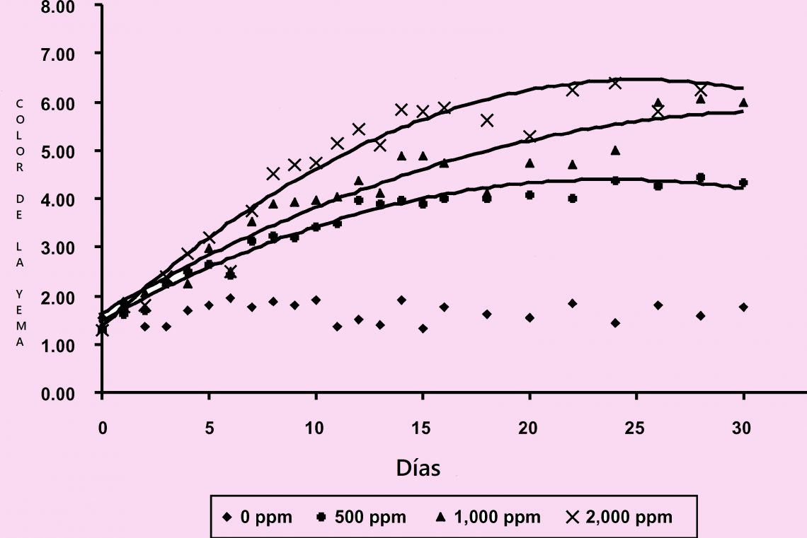 Rhodocyclus gelatinosus para la pigmentación de la yema de huevo