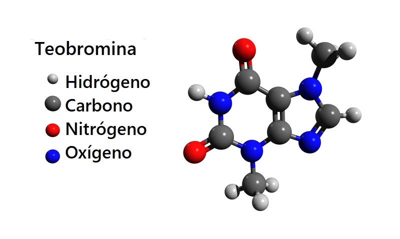 Cacao: uso de subproductos en la alimentación del ganado