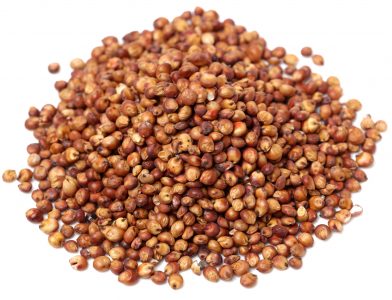 Grano de sorgo como reemplazo del maíz en dietas para aves