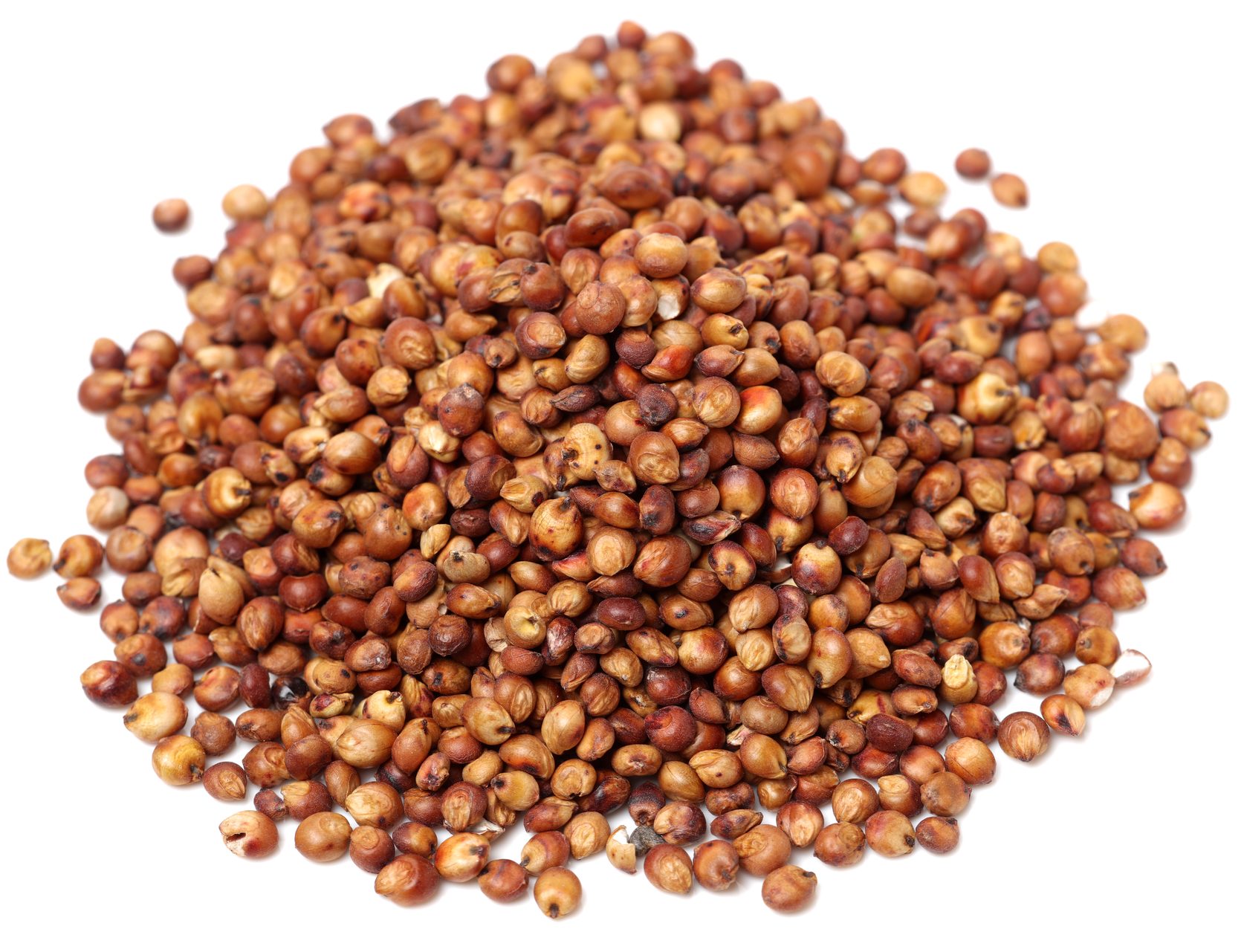 Grano de sorgo como reemplazo del maíz en dietas para aves