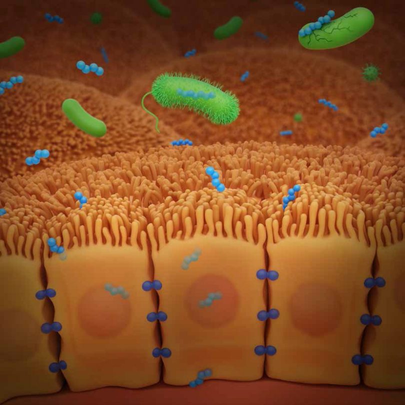 BASF Nutrición Animal y PH Albio unen esfuerzos - nutriNews, la revista ...