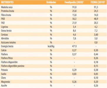 Materias primas: Bagazo de cerveza