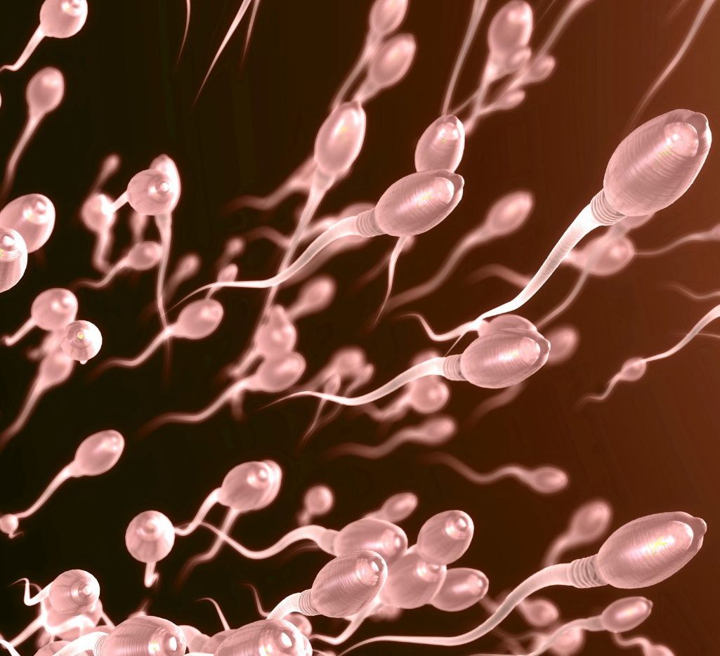 Selenium: Importance in Animal Health