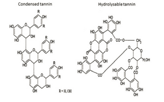 Anti-nutritional factors in food. A brief review