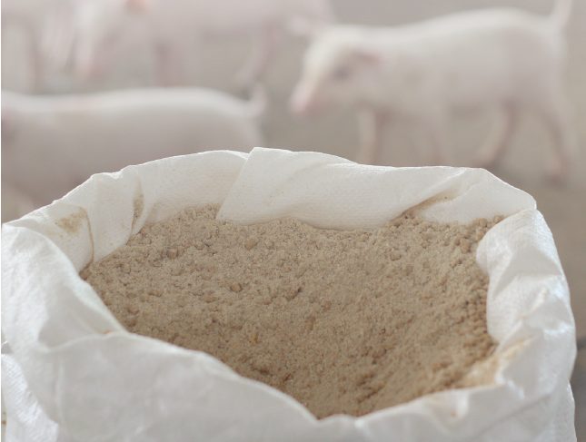 Vitamins for Swine Health, Welfare, and Productivity