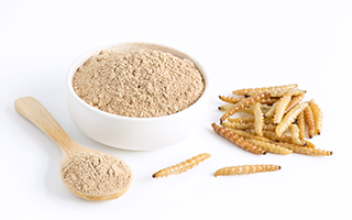 The Growing Animal Feed Insect Protein Market