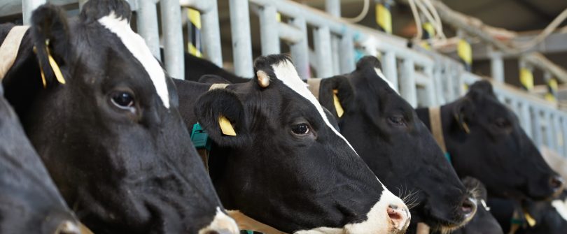 Choose your potassium source wisely