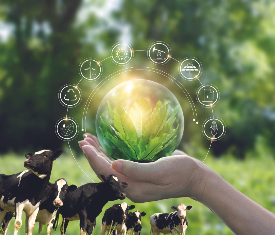 Navigating Towards Sustainable Livestock Production