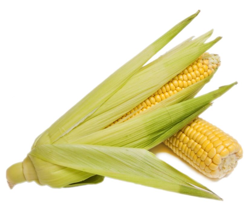 Corn under trouble?