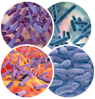 Functional pet foods: What are they?