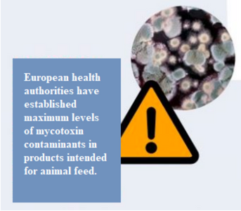 Mycotoxin contamination in meat and meat products