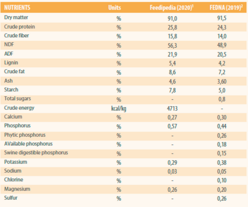 Beer bagasse (Raw Materials)