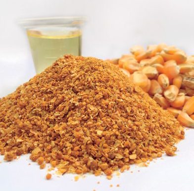 Use of DDGS as an ingredient in the formulation of pig feeds