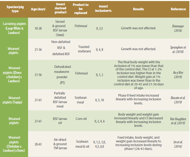 Insects in swine nutrition