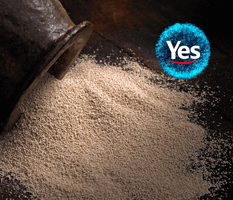 Olmix Acquires Brazilian Biotech Company, YES Sinergy