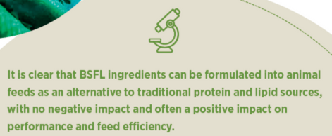 Black Soldier Fly (Hermetia illucens) Larvae in Livestock Diets