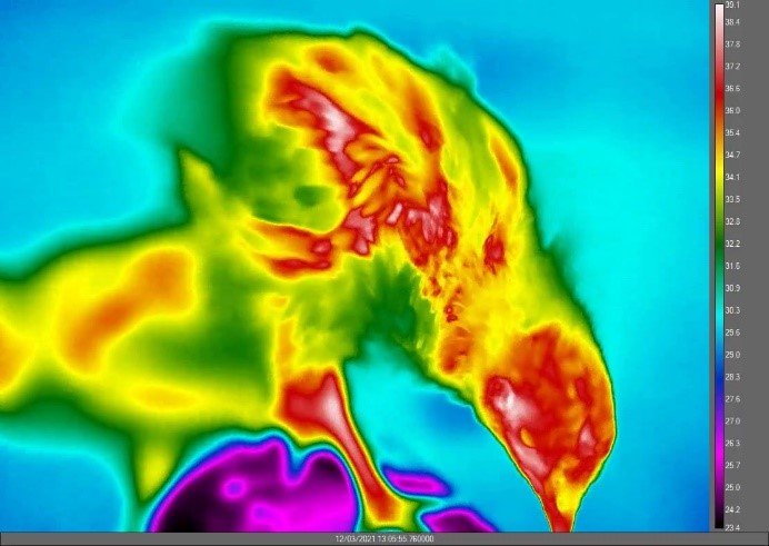 Using Modern Technologies to Improve Livestock Production