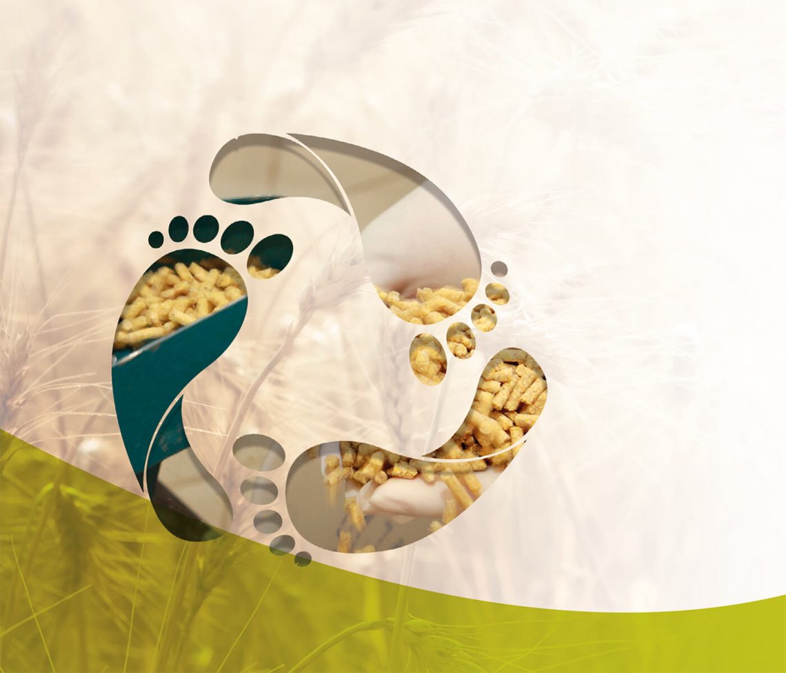 Mechanistic Nutrition Models: Paving the Way for Sustainable Food ...