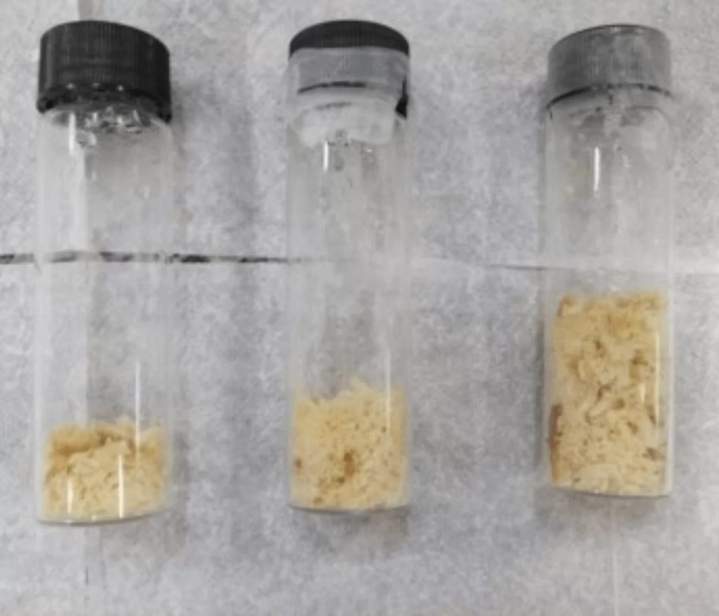 Hops extract: a potential alternative to AGPs in poultry farming