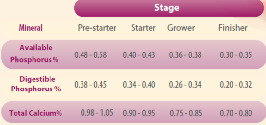 Macrominerals: Utilization of Calcium and Phosphorus in broilers