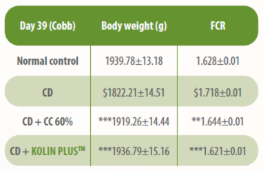 KOLIN PLUS: A HERBAL ALTERNATIVE TO CHOLINE CHLORIDE