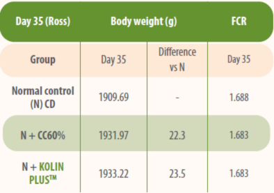 KOLIN PLUS: A HERBAL ALTERNATIVE TO CHOLINE CHLORIDE