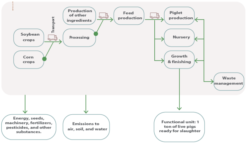 Environmental impact of pig farming