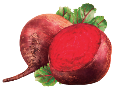 VINASSES: Raw Material Data Sheet